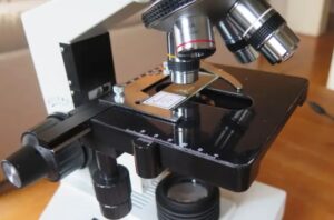 5 Best Microscopes for College & High School Students (2025)