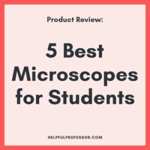 17 Great Active Learning Examples that work in 2023