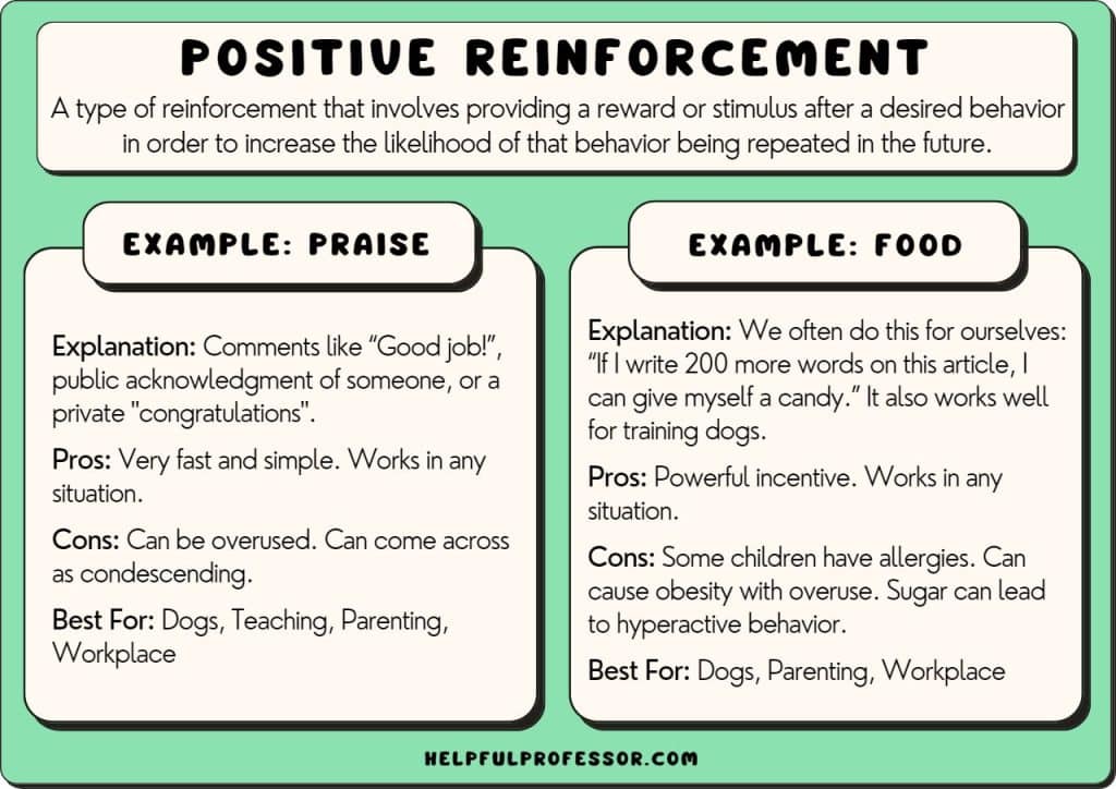 21 Positive Reinforcement Examples That Work 2024 