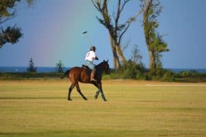 28 High Culture Examples (A to Z List) (2023)