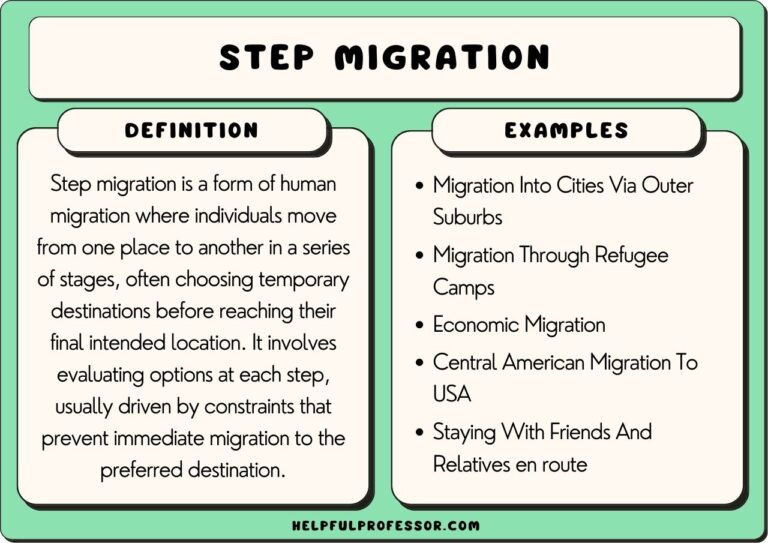 7 Step Migration Examples in Human Geography (2025)