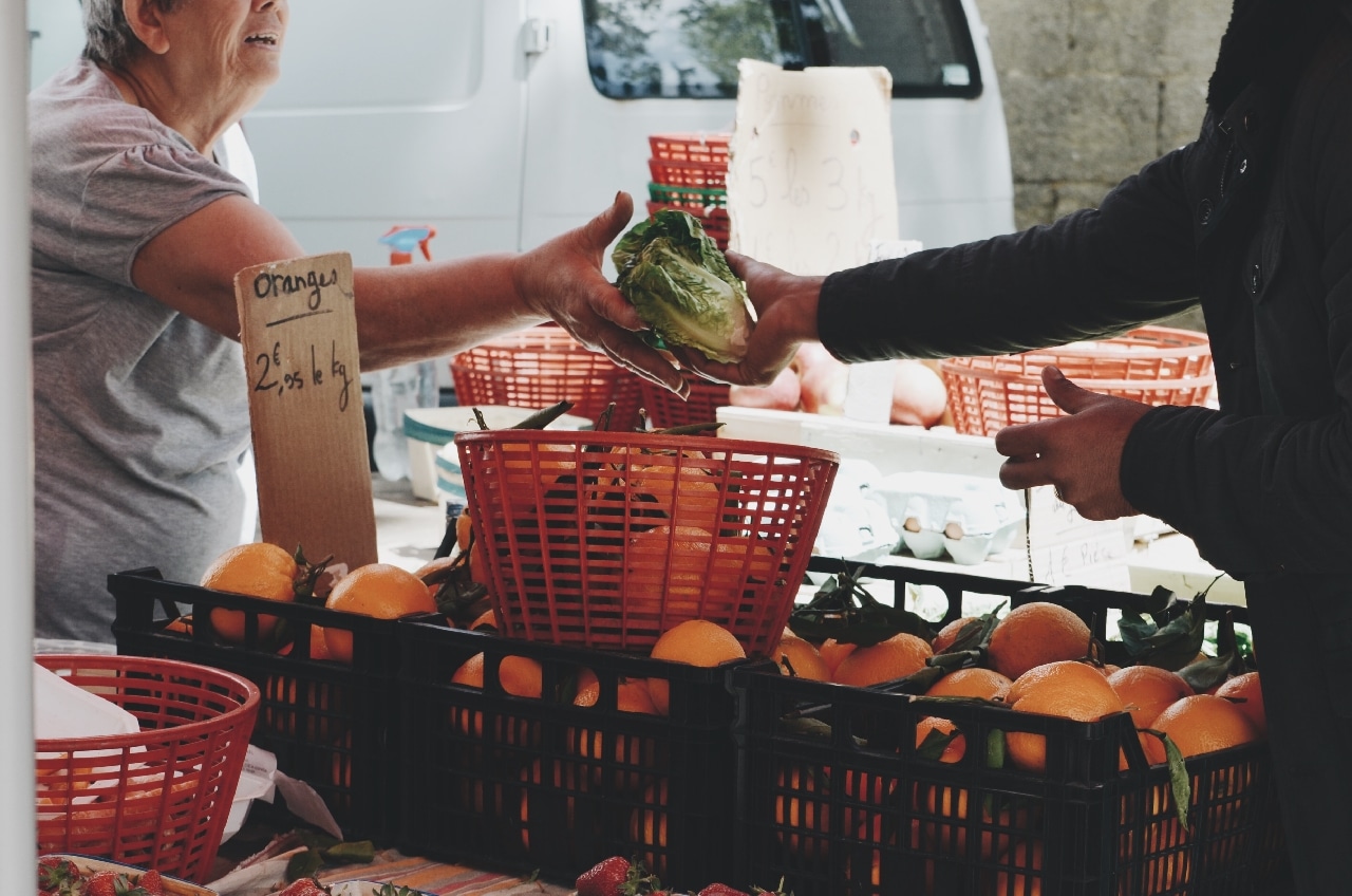 15 Framing Effect Examples (2023)