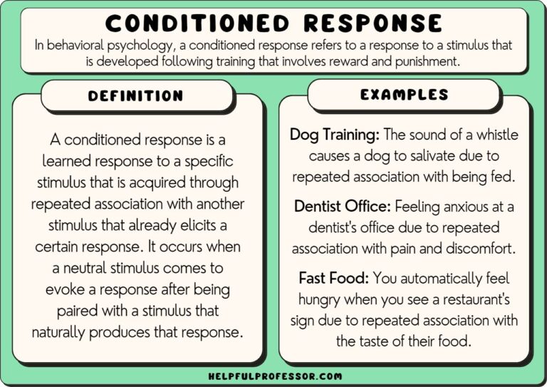 10 Conditioned Response Examples 2024 