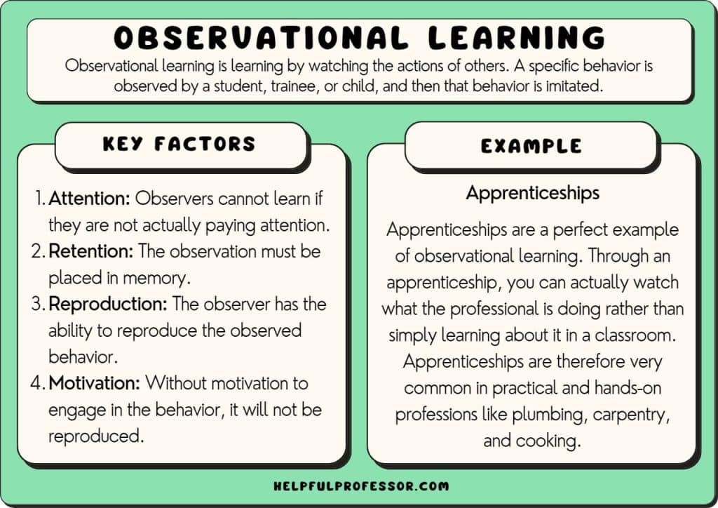 16 Observational Learning Examples 2023 