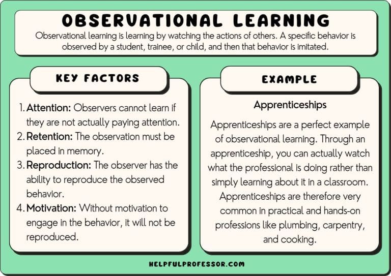 16 Observational Learning Examples (2024)