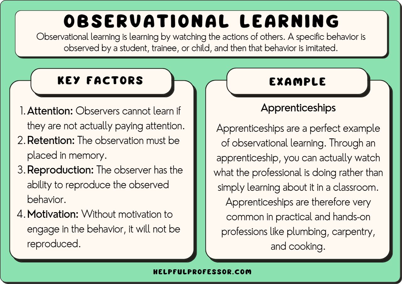 Observational Learning Process
