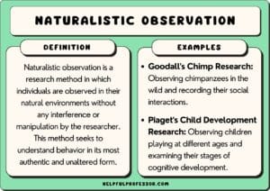 21 Naturalistic Observation Examples (2025)