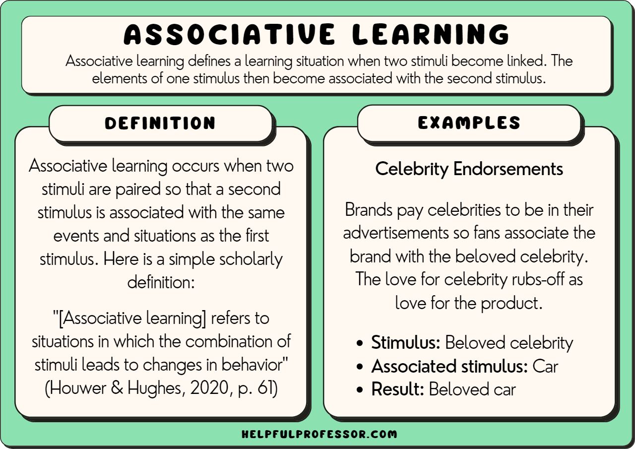 15 Associative Learning Examples 2024 