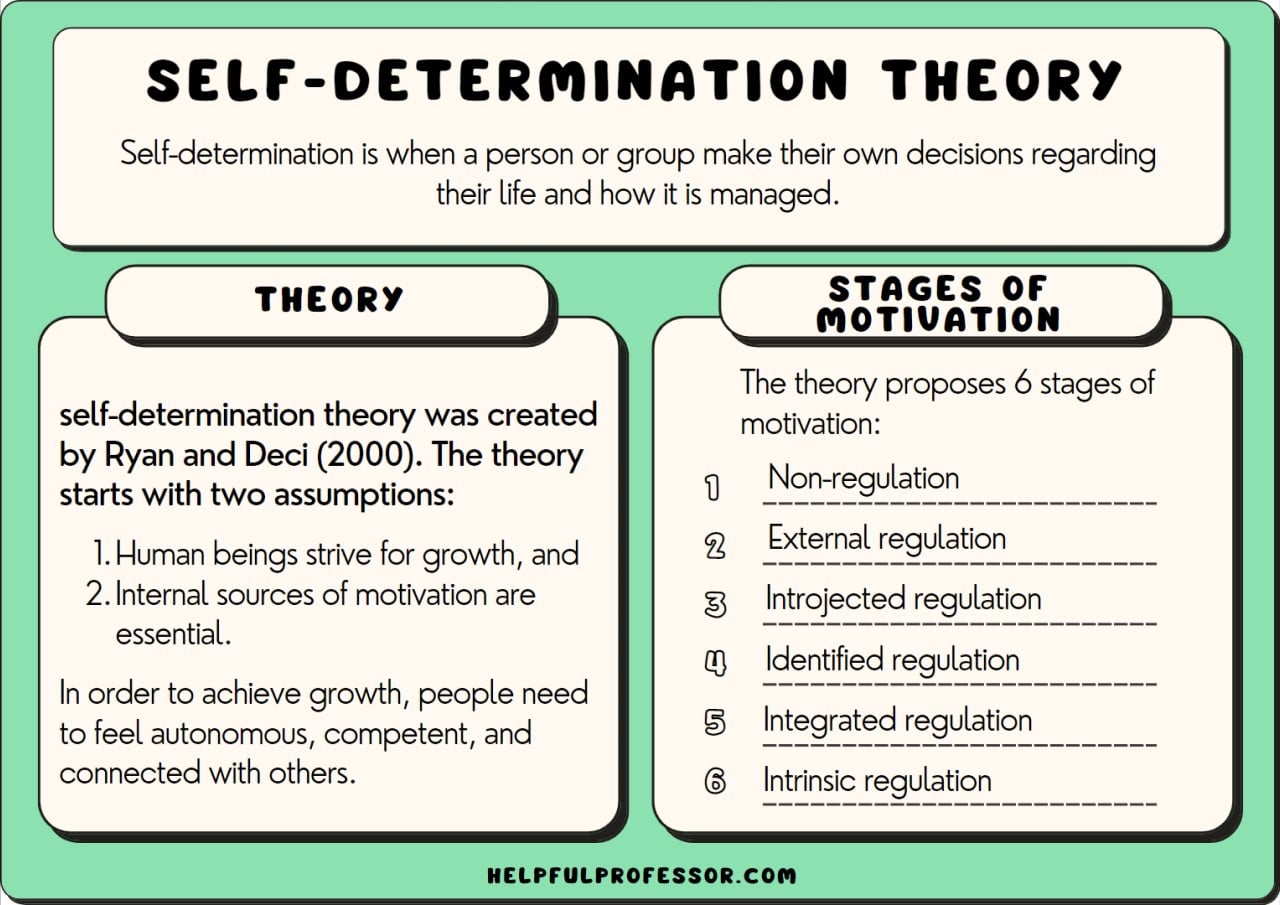 Self Determination Theory Of Motivation Explained 2024 