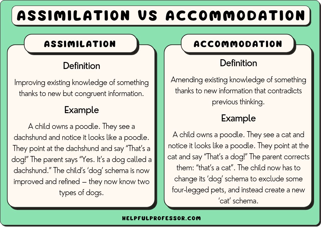 15 Examples Of Accommodation In Psychology 2024 