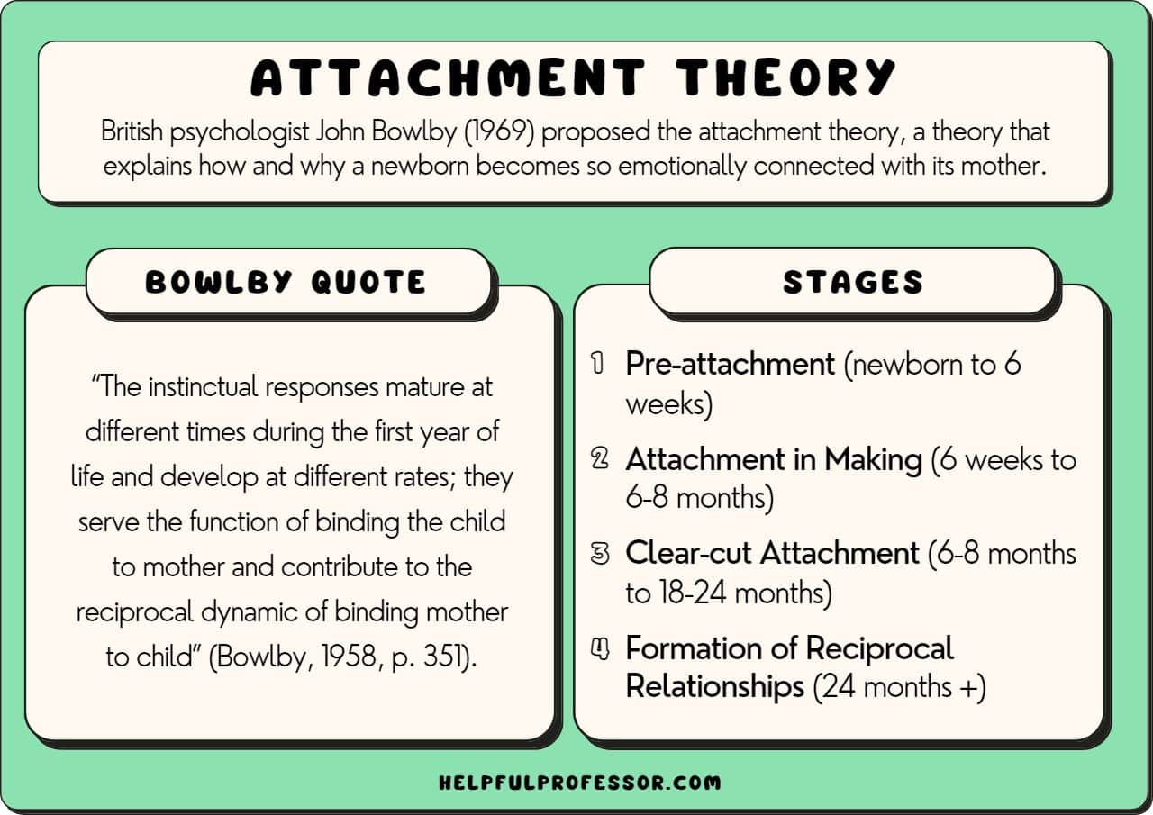 4 Stages Of Attachment Explained Bowlby s Theory 2023 