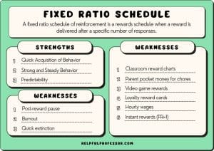 10 Fixed Ratio Schedule Examples (2025)