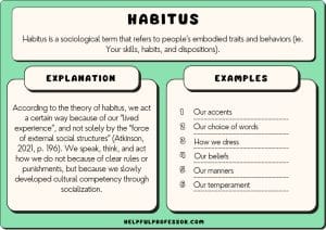 Habitus in Sociology: Definition, Examples, Criticisms (2024)