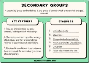 Secondary Groups in Sociology (Definition & 10 Examples) (2025)