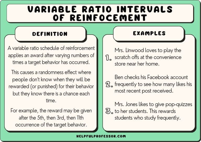 15 Variable Ratio Schedule Examples 2024 