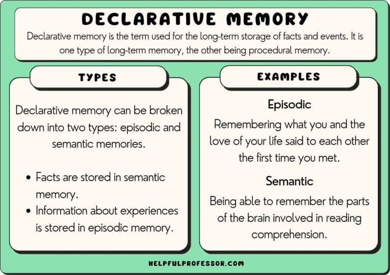 10 Declarative Memory Examples 2023 