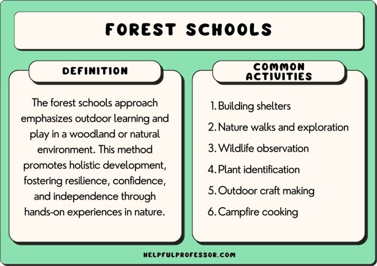 Forest Schools Philosophy & Curriculum, Explained! (2025)