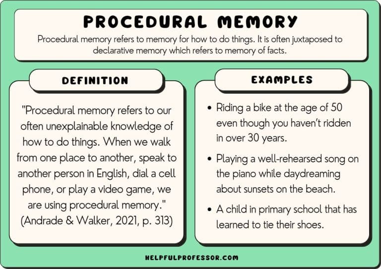 10 Procedural Memory Examples 2024 