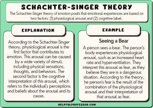 Schachter-Singer Theory - Examples and Definition (2025)