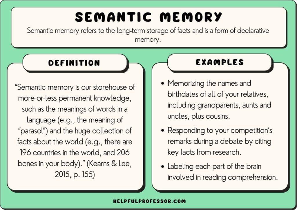 15 Semantic Memory Examples 2024 