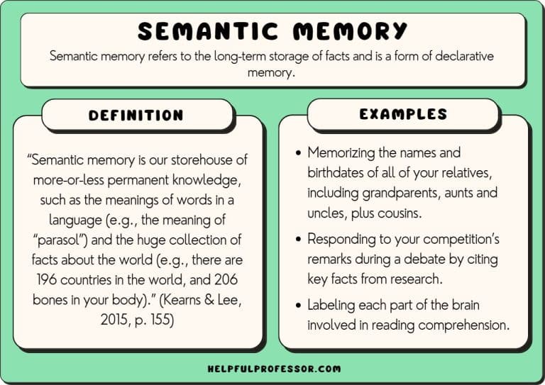 15 Semantic Memory Examples 2024 