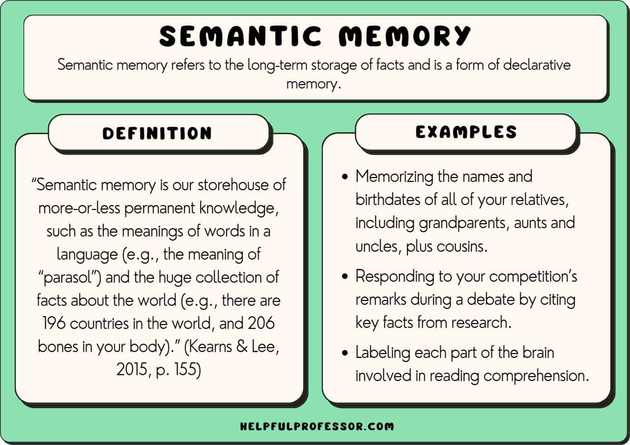 15 Semantic Memory Examples 2024 
