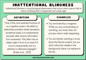 10 Inattentional Blindness Examples (2026)