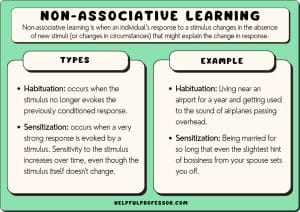 14 Non-Associative Learning Examples (2024)