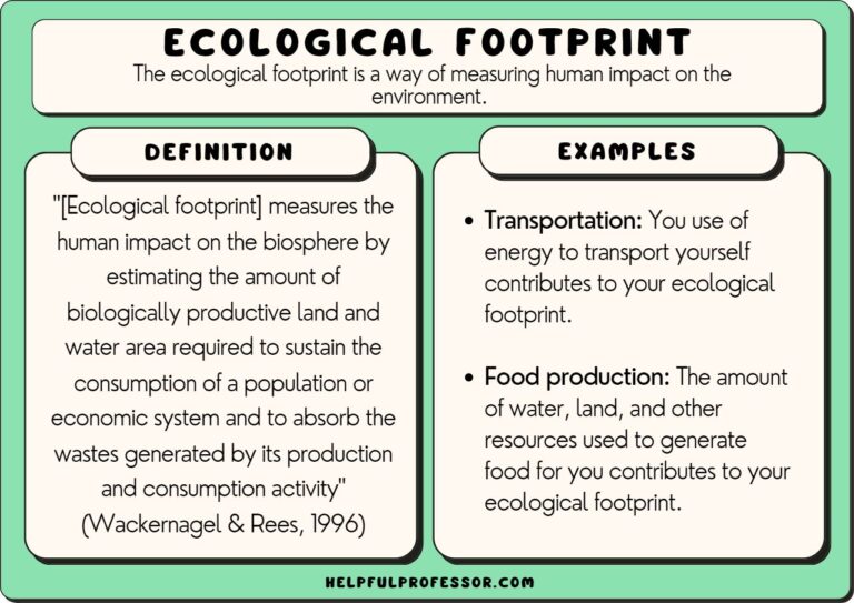 10 Ecological Footprint Examples 2023 