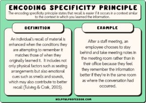 Encoding Specificity Principle: 15 Examples & Definition (2024)