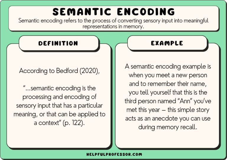 Semantic Encoding 10 Examples And Definition 2024 