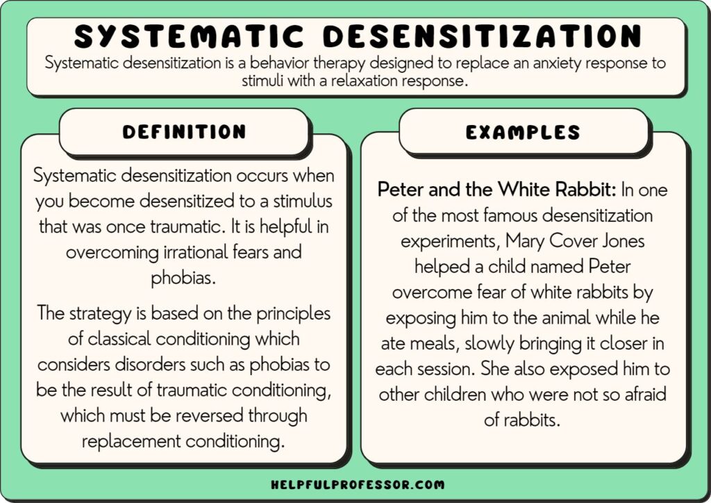 12 Systematic Desensitization Examples 2024 
