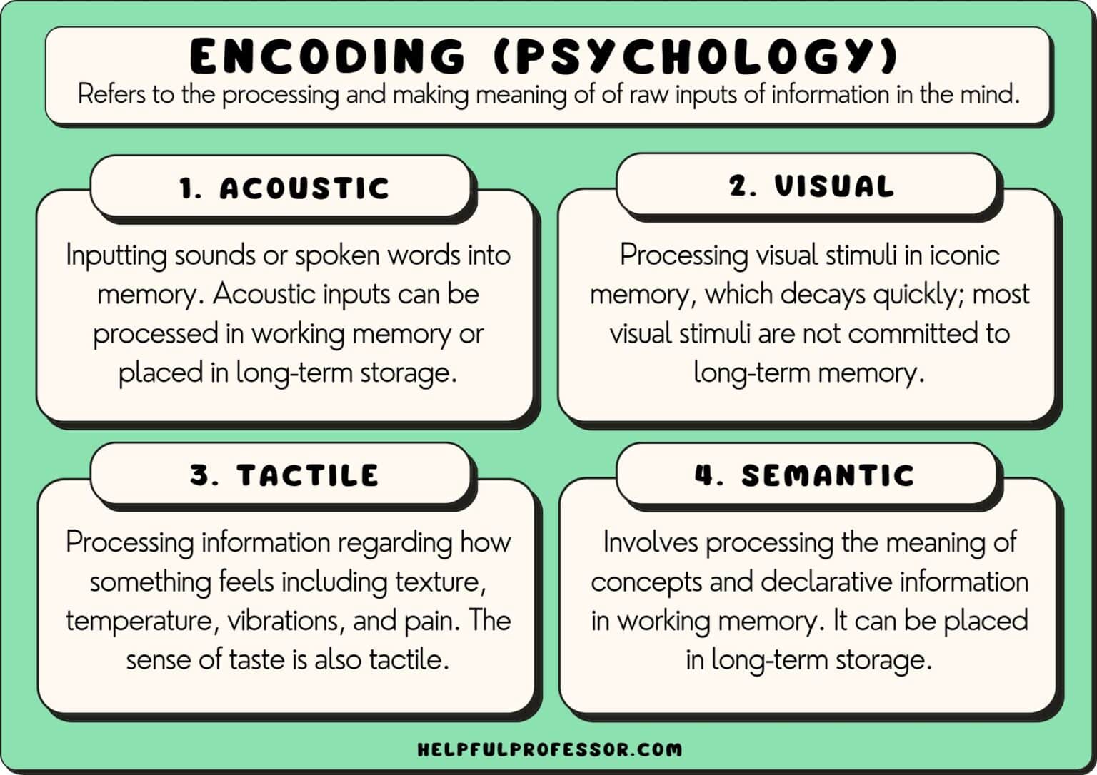 11 Encoding Examples Psychology 2024 