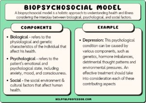 Biopsychosocial Model: Examples, Overview, Criticisms (2024)