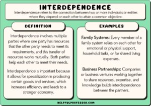 10 Interdependence Examples (2024)