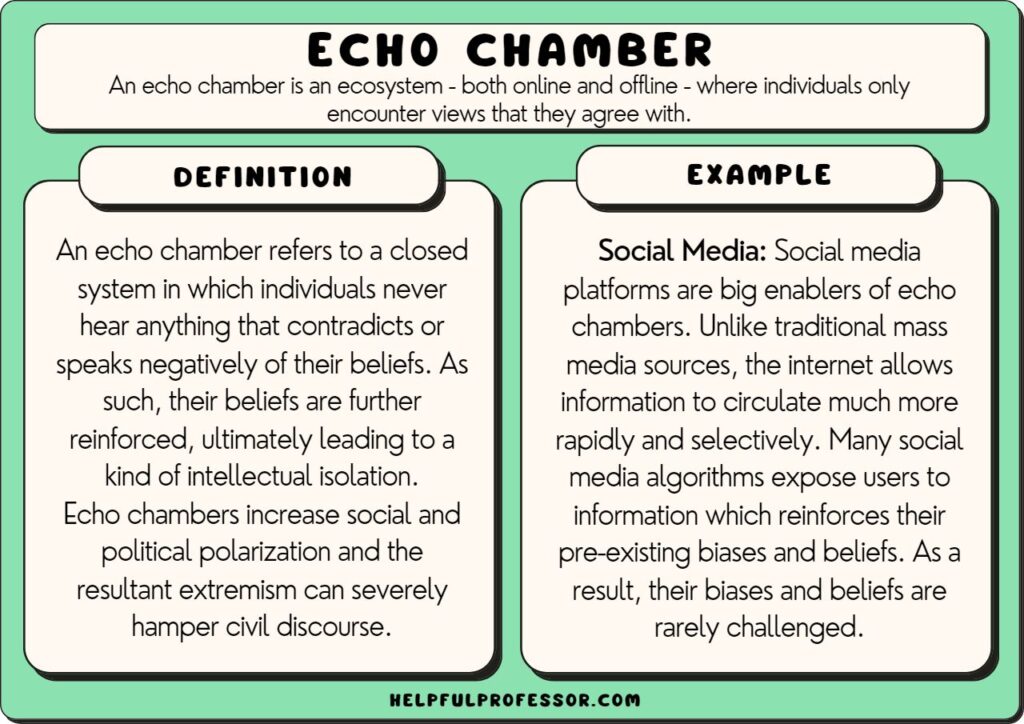 10 Echo Chamber Examples 2024 