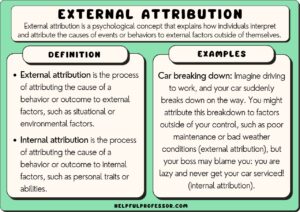 External Attribution: 10 Examples and Definition (2026)
