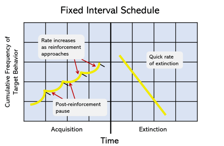 15 Fixed Interval Schedule Examples 2024 