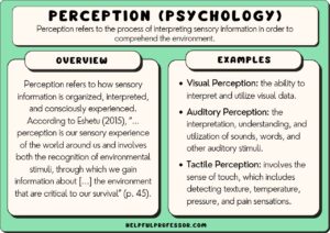 Perception (Psychology): 10 Examples and Definition (2025)