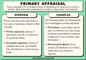 Primary Appraisal: Examples and Definition (2025)