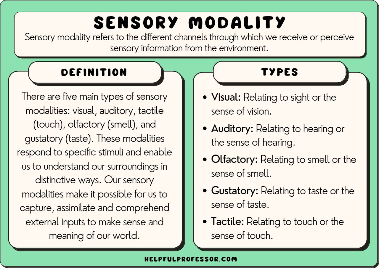 Sensory Modality 10 Examples And Definition 2025 