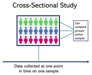 15 Cross-Sectional Study Examples (2025)