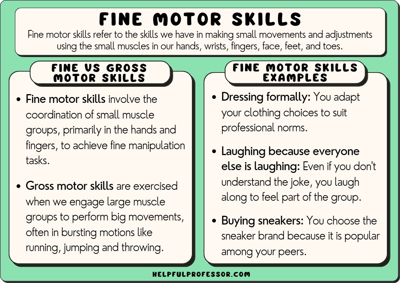 25 Fine Motor Skills Examples 2024 