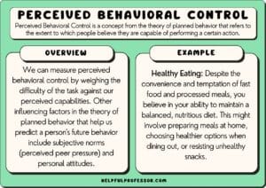 Perceived Behavioral Control: Definition and Examples (2025)