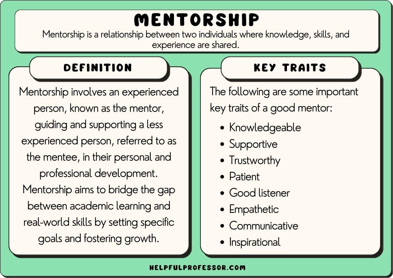 30 Mentorship Examples 2025 