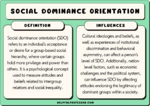 Social Dominance Orientation: Definition and Examples (2024)