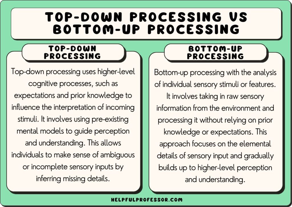 Bottom Up Processing Complete Guide For Students 2023 