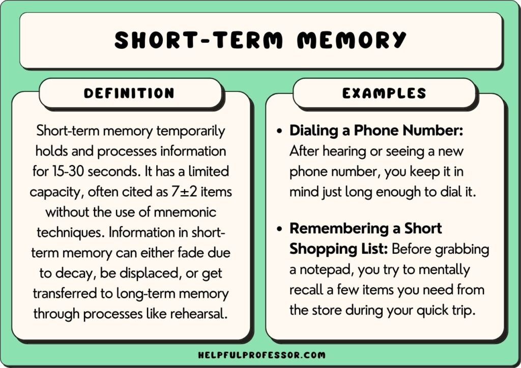 25 Short Term Memory Examples 2025 
