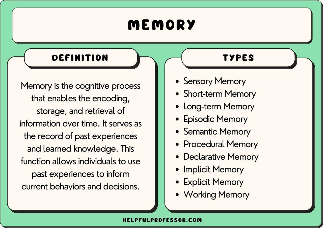 25 Types Of Memory 2024 