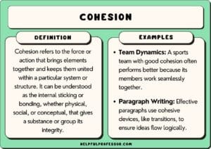 28 Cohesion Examples (2025)